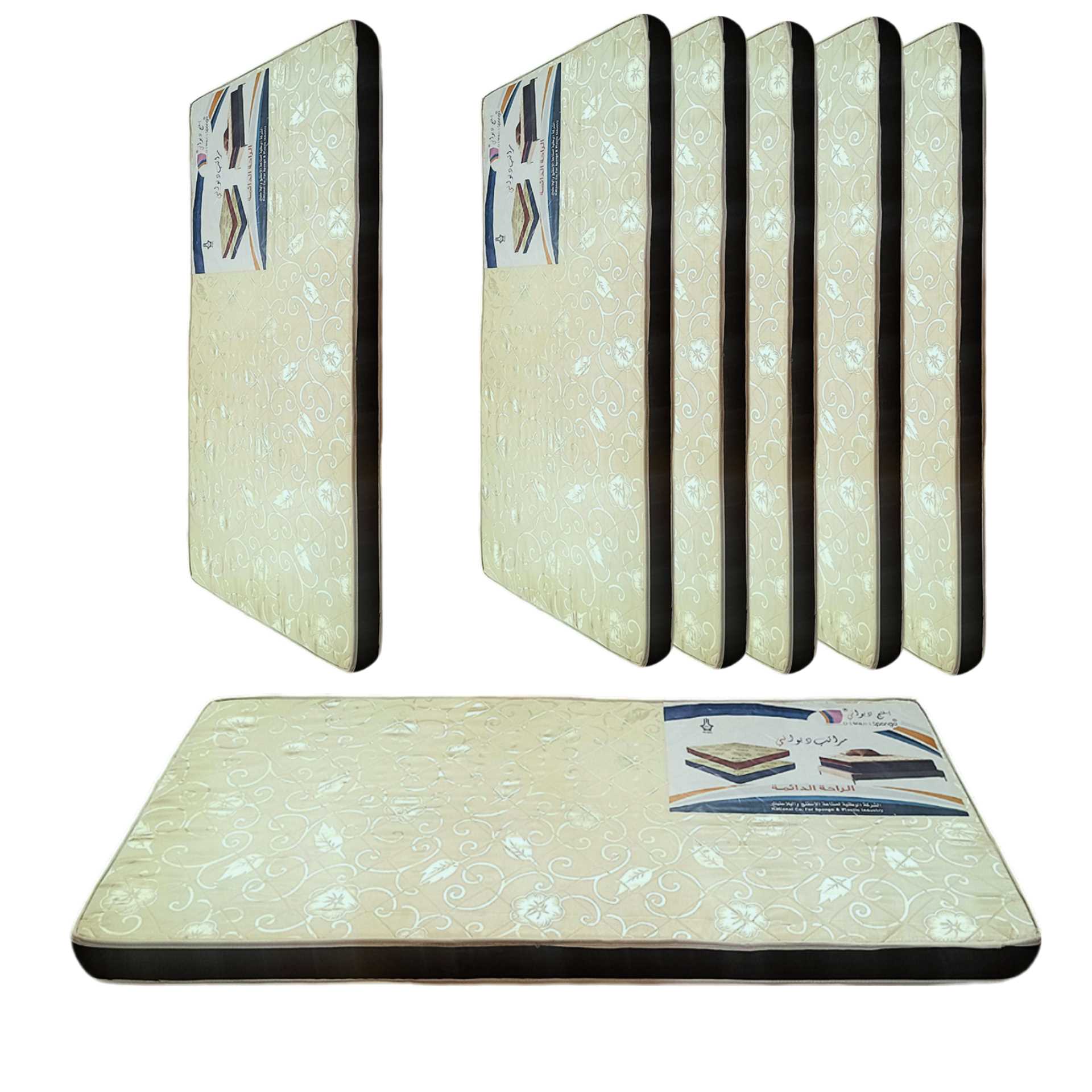 - الشركة الوطنية لصناعة الاسفنج والبلاستيك